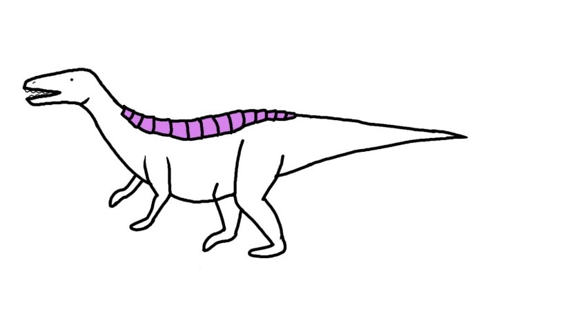 Archosaur Adaptations